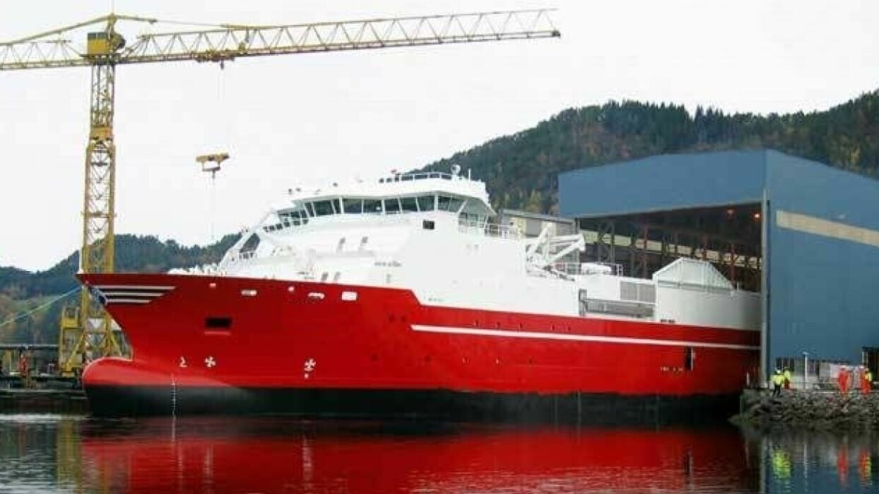 Best Marine Vacancies (>500): Maritime jobs, Offshore jobs - Gold Orion