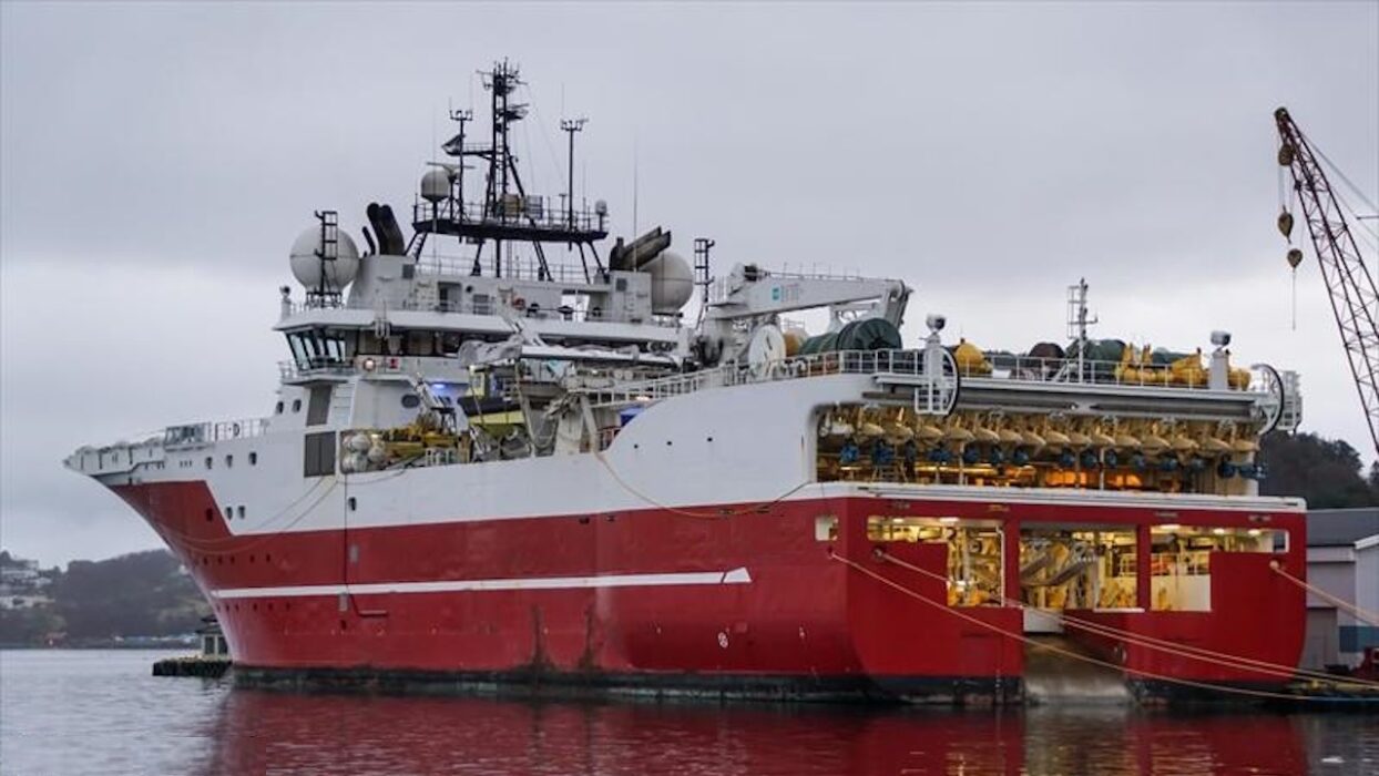 OFFSHORE FLEET FITTER FOR SSV 2D/3D 97.13USD P/D - Gold Orion